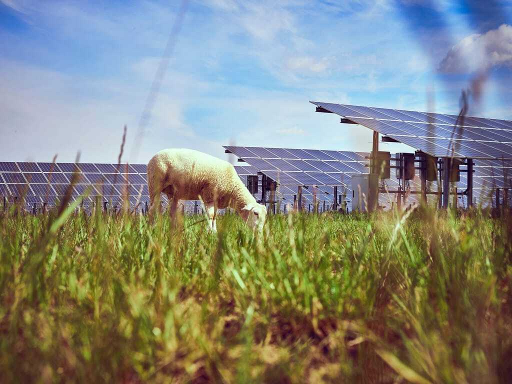 Diese Maßnahmen sollen jetzt den Solar-Ausbau beschleunigen - dhz.net