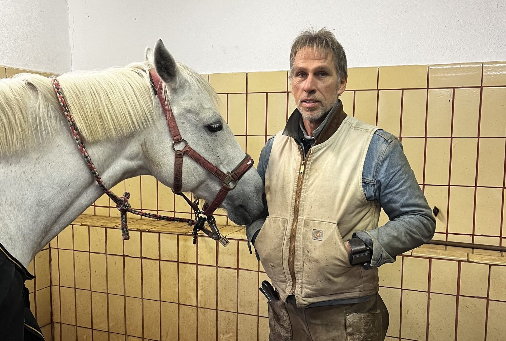 Zu Besuch beim Hufschmied: Arbeit mit Herz und Hufeisen - dhz.net