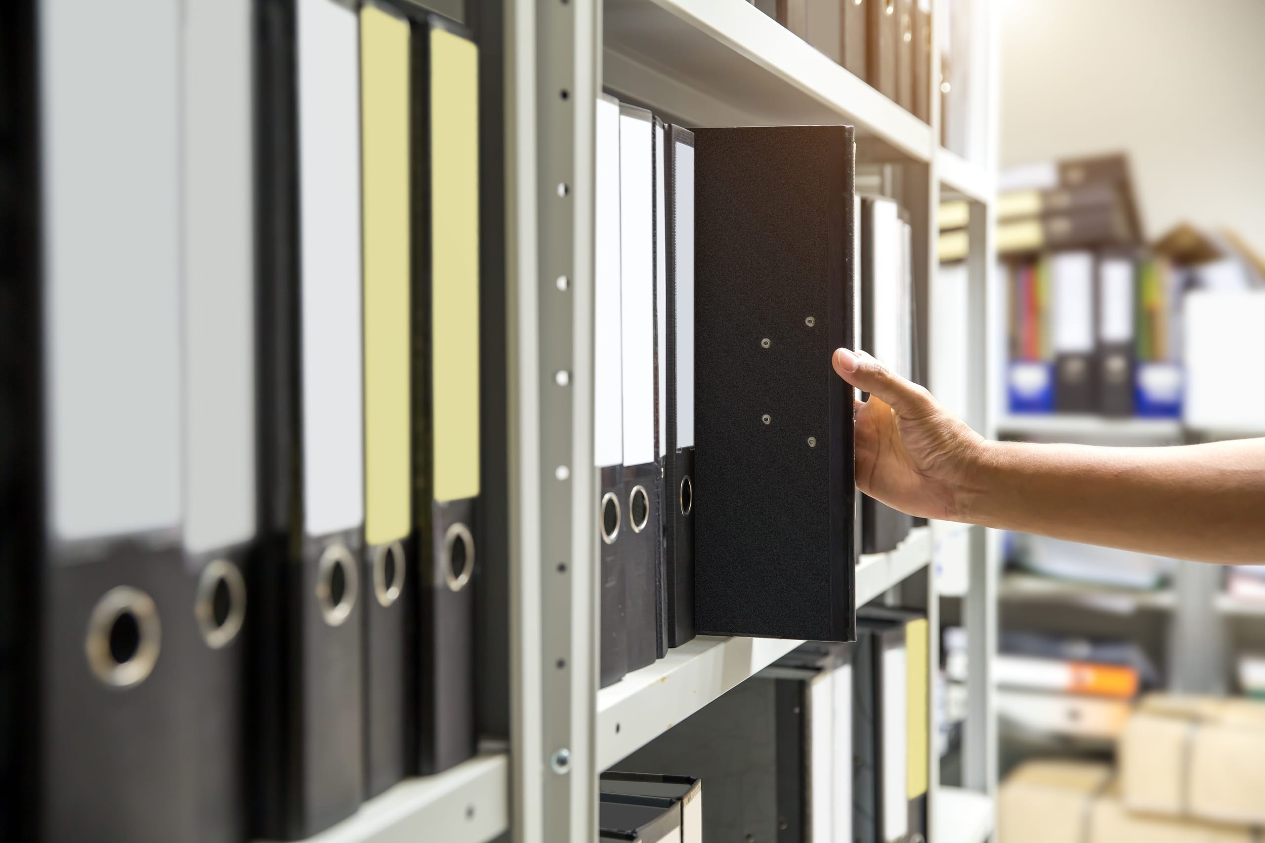 Politik und Handwerk: Warum wir uns einmischen müssen - dhz.net